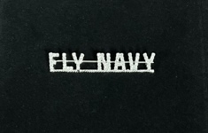 Tailhook Association Ship's Store: Fly Navy Lapel Pin